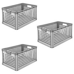 Transportbeh&auml;lter keeeper "Transportkorb robert, 3er Set, 64 L, 60 x 40 x 32 cm", nordic grau, B:40cm H:32cm L:60cm, Kunststoff, Transportboxen, s&auml;ure- und laugenbest&auml;ndig, 60 kg Tragkraft