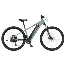 E-Bike Fischer FAHRRAD "MONTIS 2.2 688" Gr. 43, gr&uuml;n, Elektrofahrr&auml;der, 43cm, 29 Zoll (73,66cm)