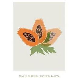 Bild Komar "Cultivated Papaya", orange (farbe bild(er): orange), B:30cm H:40cm, Holz, Papier, Bilder, Bild, Wandbild zur Dekoration - ohne Rahmen