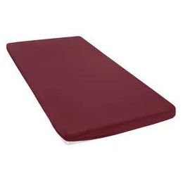 Spannbettlaken OTTO HOME "Topper Basic, in Gr. 90x200, 140x200 oder 180x200 cm", bordeaux, B:120cm L:200cm, Baumwoll-Jersey, Obermaterial: 100% Baumwolle, Bettlaken, Spannbettlaken, Baumwolle, Matratzen bis 8 cm H&ouml;he, Bettlaken, Spannbetttuch, Laken