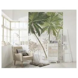 Fototapete Komar "Vlies Fototapete - Palmera - Gr&ouml;&szlig;e 200 x 280 cm", gr&uuml;n,beige, B:2m H:280m, Vlies, Tapeten