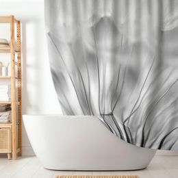 Bilderwelten Duschvorhang Traumhafte Pusteblume Schwarz-Wei&szlig;