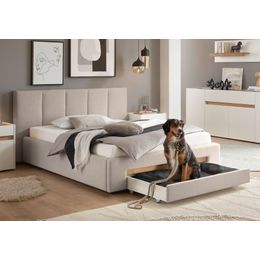 Polsterbett Home Affaire, B:170cm H:96cm L:220cm, beige, Betten, "CiTY/GiRON, Bettgestell mit Bettkasten, gepolstertes Stauraumbett", mit Hundebett