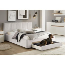 Polsterbett Home Affaire, B:170cm H:96cm L:220cm, beige, Betten, "CiTY/GiRON, Bettgestell mit Bettkasten, gepolstertes Stauraumbett", mit Hundebett