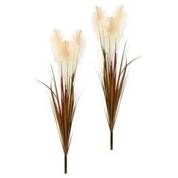 Kunstblume I.GE.A. "Pampasgras", beige (natur), B:25cm H:75cm, Obermaterial: 90% Kunststoff, 10% Polyester, Kunstpflanzen, 2er Set