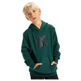 Hoodie DC Shoes "DC Star", Jungen, Gr. 14(155-164cm), rosa (ponderosa pine), Obermaterial: 55% Walkfrottier, 25% Walkfrottier, 20% Microfaser;, Sweatshirts Hoodie