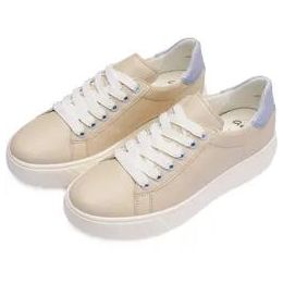 Plateausneaker Ara "MONACO", Herren, Gr. 7 (41), creme, hellblau, Glattleder, unifarben mit Farbeinsatz, Schuhe Plateausneaker, Freizeitschuh, Halbschuh, Schn&uuml;rer mit Kontrastbesatz, H-Weite
