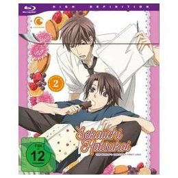 Sekaiichi Hatsukoi - The World's Greatest First Love - Vol. 2