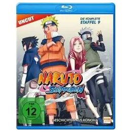 KSM Anime Naruto Shippuden - St. 9 - Uncut