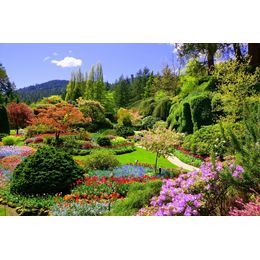 Fototapete papermoon "Butchart Gardens", bunt, B:3m L:2,23m, Vlies, Tapeten, Fototapete
