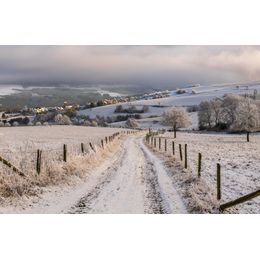 Fototapete papermoon "Photo-Art ERIK PROPER, REPOST 009 - WINTER WONDERLAND - 201703", bunt, B:2,5m L:1,86m, Vlies, Tapeten, Fototapete