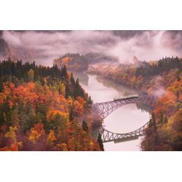 Fototapete papermoon "Photo-Art KEI SASAKI, HERBST TADAMI LINE", bunt, B:3m L:2,23m, Vlies, Tapeten, Fototapete