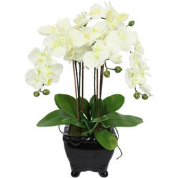 Kunstblume I.GE.A. "K&uuml;nstliche Orchidee in Schale Phalaenopsis Kunstblume Blume", wei&szlig;, B:20cm H:60cm L:18cm, Polyester, Kunstpflanzen, Kunstblume, Kunstorchidee Deko Dekoblume Seidenblume