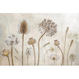 Fototapete papermoon "Photo-Art MANDY DISHER, ALT WERDEN", bunt, B:4,5m L:2,8m, Vlies, Tapeten, Fototapete