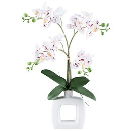 Kunstorchidee Creativ green "Orchidee Phalaenopsis", wei&szlig; (wei&szlig;, rot), H:42cm, Kunststoff, Kunstpflanzen, Kunstorchidee, in trendigem Keramikgef&auml;&szlig;