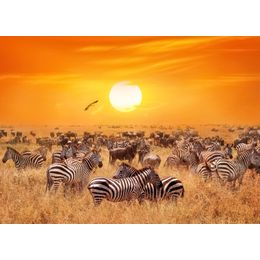Fototapete papermoon "African Antelopes and Zebras", bunt, B:2m L:1,49m, Vlies, Tapeten, Fototapete