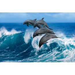 Fototapete papermoon "Playful Dolphins", bunt, B:4m L:2,6m, Vlies, Tapeten, Fototapete