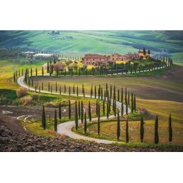 Fototapete papermoon "Fields in Tuscany", bunt, B:5m L:2,8m, Vlies, Tapeten, Fototapete