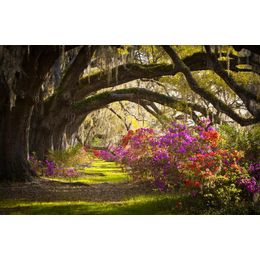 Fototapete papermoon "Waldwehg mit Blumen", bunt, B:3m L:2,23m, Vlies, Tapeten, Fototapete