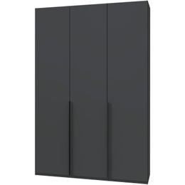 Kleiderschrank wimex "Mugano,in 5 Breiten,2 H&ouml;hen,2 Tiefen, viele Farben, Made in Germany", grafit, griffe schwarz, B:135cm H:208cm T:40cm, Holzwerkstoff, Schr&auml;nke, Kleiderschrank, mit langen Griffen aus Metall, mit oder ohne Spiegel