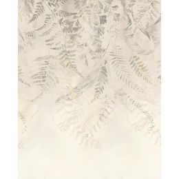 Vliestapete Komar "Digitaldruck Vlies - Herbarium - Gr&ouml;&szlig;e 200 x 250 cm", braun (braun, grau), B:200m L:250m, Vlies, Tapeten, Vliestapete, Wohnzimmer, Schlafzimmer