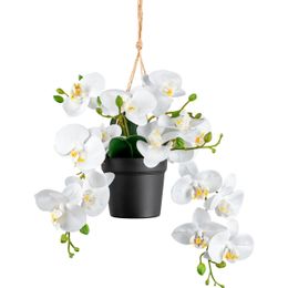 Kunstorchidee Creativ green "Orchidee Phalaenopsis", wei&szlig;, H:25cm, Kunstpflanzen, Kunstorchidee, mit real-touch-Bl&uuml;ten