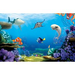 Vliestapete Komar "Digitaldruck Vlies - Finding Dory - Gr&ouml;&szlig;e 400 x 260 cm", bunt (bunt, bunt), B:400m L:260m, Vlies, Tapeten, Vliestapete, Wohnzimmer, Schlafzimmer