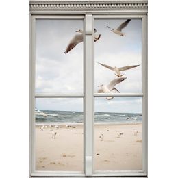 Wandsticker queence "M&ouml;wen am Strand", wei&szlig;, B:40cm H:60cm T:0,1cm, Wandtattoos, Wandsticker, Wandsticker, Wandbild, selbstklebend, 3D, Fenster