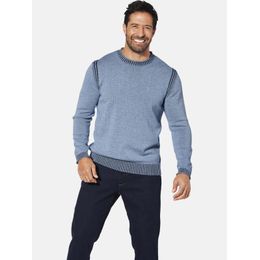 Rundhalspullover Jan Vanderstorm "Pullover GERTLUND", Herren, Gr. L, blau, Obermaterial: 100% Baumwolle CO., Pullover Rundhalspullover