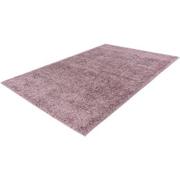 Hochflor-Teppich Obsession "My Emilia 250", lila (puder, lila), B:60cm H:26mm L:110cm, Polyester, Teppiche, Hochflor-Teppich, sehr weicher Flor, ideal im Wohnzimmer & Schlafzimmer