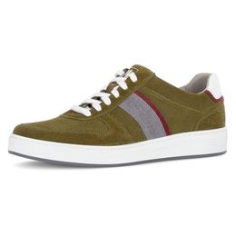 Sneaker Pius Gabor, Herren, Gr. 9,5 (44), gr&uuml;n (oliv kombiniert), Veloursleder, Schuhe Sneaker, Freizeitschuh, Halbschuh, Schn&uuml;rer mit Kontrastbes&auml;tze, Weite G