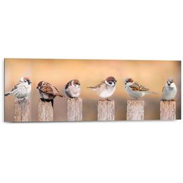 Holzbild Reinders "Deco Panel 30x90 Bird Family", braun (farbe bild(er): braun), B:90cm H:30cm T:2cm, MDF, Bilder, Holzbild