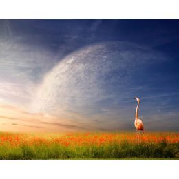 Fototapete papermoon "Flamingo in Blumenwiese", bunt, B:4,5m L:2,8m, Vlies, Tapeten, Fototapete