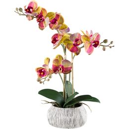 Kunstorchidee Creativ green "Orchidee Phalaenopsis", gelb, H:48cm, Kunststoff, Kunstpflanzen, Kunstorchidee, mit au&szlig;ergew&ouml;hnlicher Zementschale