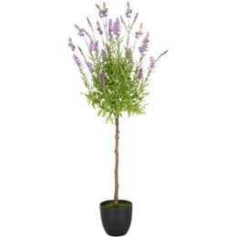 Kunstpflanze Creativ green "Lavendel", lila, H:95cm, Kunststoff, Kunstpflanzen, Kunstpflanze, mit filigranen Lavendelb&uuml;ten