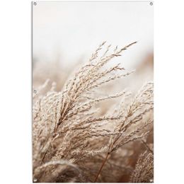 Poster Reinders "Gras", beige (farbe bild(er): beige), B:80cm H:120cm T:0,1cm, Leinwand, Bilder, Poster, leichtes und wasserfestes Gartenposter f&uuml;r den Au&szlig;eneinsatz