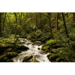 Fototapete papermoon "BACH IM WALD-B&Auml;UME FLUSS SEE STEINE BLUMEN BERGE SONNE", bunt, B:3,5m L:2,6m, Vlies, Tapeten, Fototapete