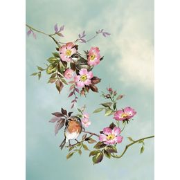 Bild Komar "Salutations du Matin", bunt (farbe bild(er): bunt), B:50cm H:70cm, Holz, Papier, Bilder, Bild, Wandbild zur Dekoration - ohne Rahmen