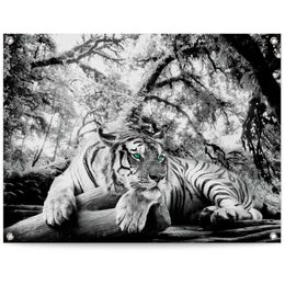 Poster Reinders "Tigerblick", schwarz (farbe bild(er): schwarz, wei&szlig;), B:80cm H:60cm T:0,1cm, Leinwand, Bilder, Poster
