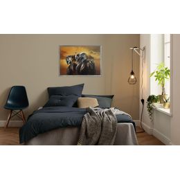 Wandbild Komar "Star Wars The Mandalorian Line Up", gelb (farbe bild(er): gelb,grau), Disney, 1 Stk., Vlies, Bilder, Wandbild, 50 x 70 cm (Breite x H&ouml;he) - Kinderzimmer, Dekoration