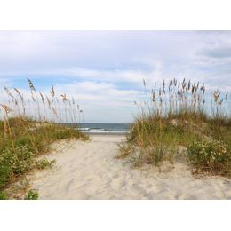 Fototapete papermoon "Dunes Huntington Beach", bunt, B:3,5m L:2,6m, Vlies, Tapeten, Fototapete
