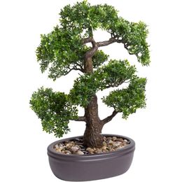 Kunstbonsai BOTANIC-HAUS "Ficus Bonsai", gr&uuml;n, B:35cm H:45cm T:35cm &Oslash;:35cm, Kunststoff, Kunstpflanzen, Kunstbonsai