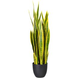 K&uuml;nstliche Zimmerpflanze Creativ green "Sanseveria", gr&uuml;n (gr&uuml;ngelb), B:16,5cm H:90cm, Kunststoff, Kunstpflanzen, K&uuml;nstliche Zimmerpflanze