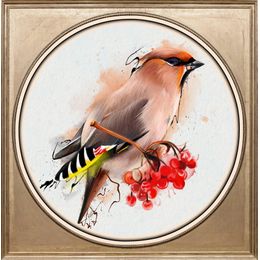 Acrylglasbild queence "Bunter Vogel II", bunt (farbe bild(er): bunt), B:40cm H:40cm T:3cm &Oslash;:56,57cm, Bilder, Acrylglasbild, Fine Art-Print in Galeriequalit&auml;t