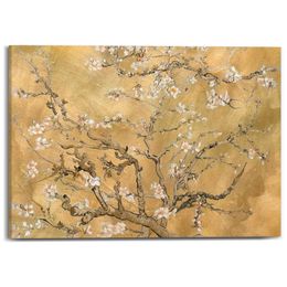 Leinwandbild Reinders "Van Gogh - almondblossom", gold (farbe bild(er): gold), B:70cm H:50cm T:2,5cm, Bilder, Leinwandbild, Wohnzimmer - Gold - Leinwand - Ber&uuml;hmte K&uuml;nstler - 70x50 cm