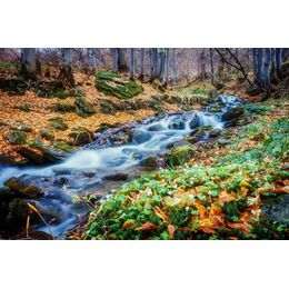 Fototapete papermoon "Fluss im Wald", bunt, B:4m L:2,6m, Vlies, Tapeten, Fototapete