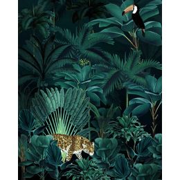 Vliestapete Komar "Digitaldruck Vlies - Jungle Night - Gr&ouml;&szlig;e 200 x 250 cm", gr&uuml;n (gr&uuml;n, schwarz), B:200m L:250m, Vlies, Tapeten, Vliestapete, Wohnzimmer, Schlafzimmer