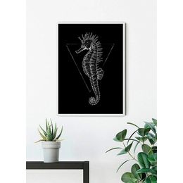 Bild Komar "Sea Horse Black", bunt (farbe bild(er): bunt), B:40cm H:50cm, Holz, Papier, Bilder, Bild, Wandbild zur Dekoration - ohne Rahmen