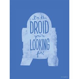 Bild Komar "Star Wars Silhouette Quotes R2D2", bunt (farbe bild(er): bunt), B:30cm H:40cm, Holz, Papier, Bilder, Bild, Wandbild zur Dekoration im Kinderzimmer - ohne Rahmen