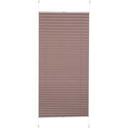 Plissee K-home "Klemmfix Pisa" Gr. 8, braun (latte), B:110cm H:130cm, Obermaterial: 100% Polyester, Plissees, Plissee
